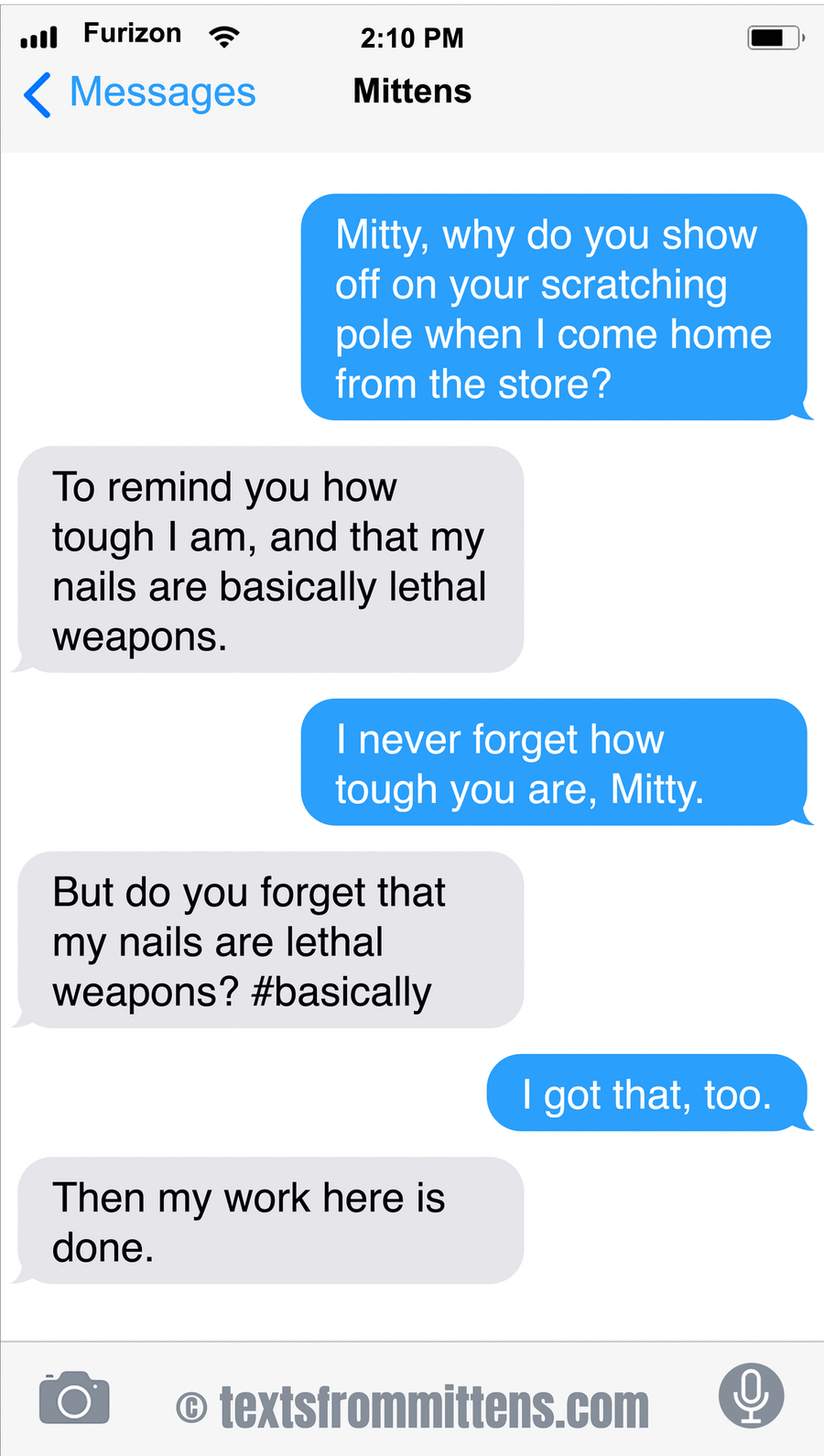 Texts From Mittens by Angie Bailey for November 06, 2021 - GoComics