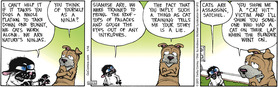 Get Fuzzy by Darby Conley for January 18, 2025 | GoComics