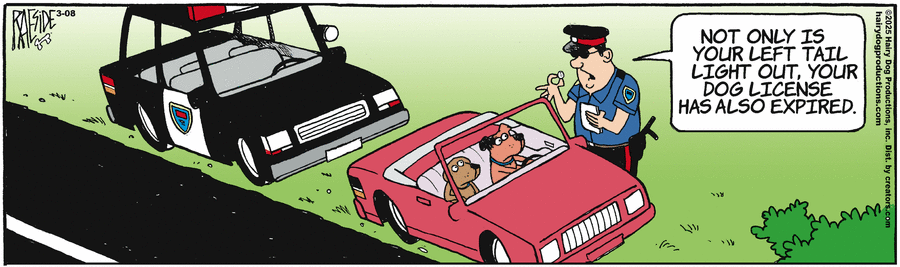 The Other Coast by Adrian Raeside for March 08, 2025 - GoComics