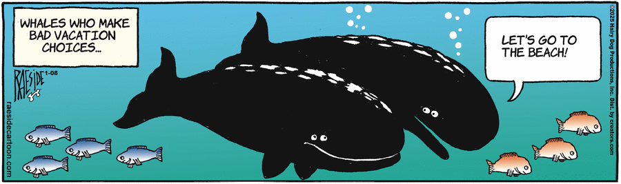 The Other Coast by Adrian Raeside for January 08, 2025 - GoComics