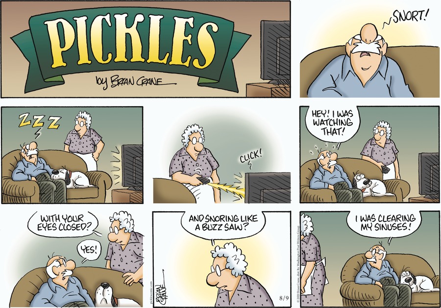Pickles by Brian Crane for August 09, 2020 - GoComics