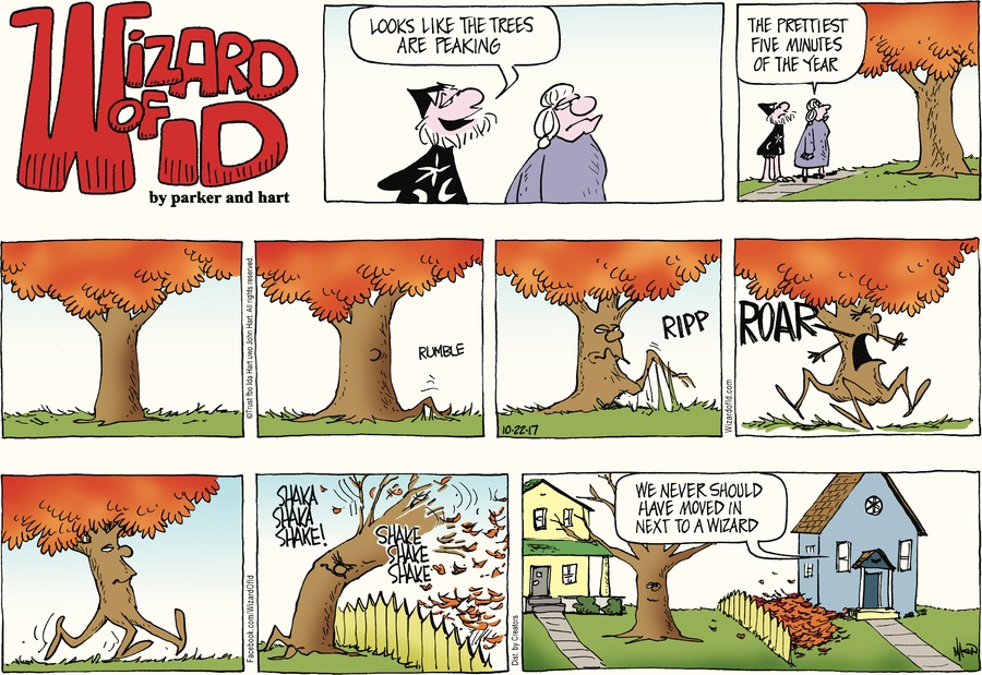Wizard of Id by Parker and Hart for October 22, 2017 - GoComics