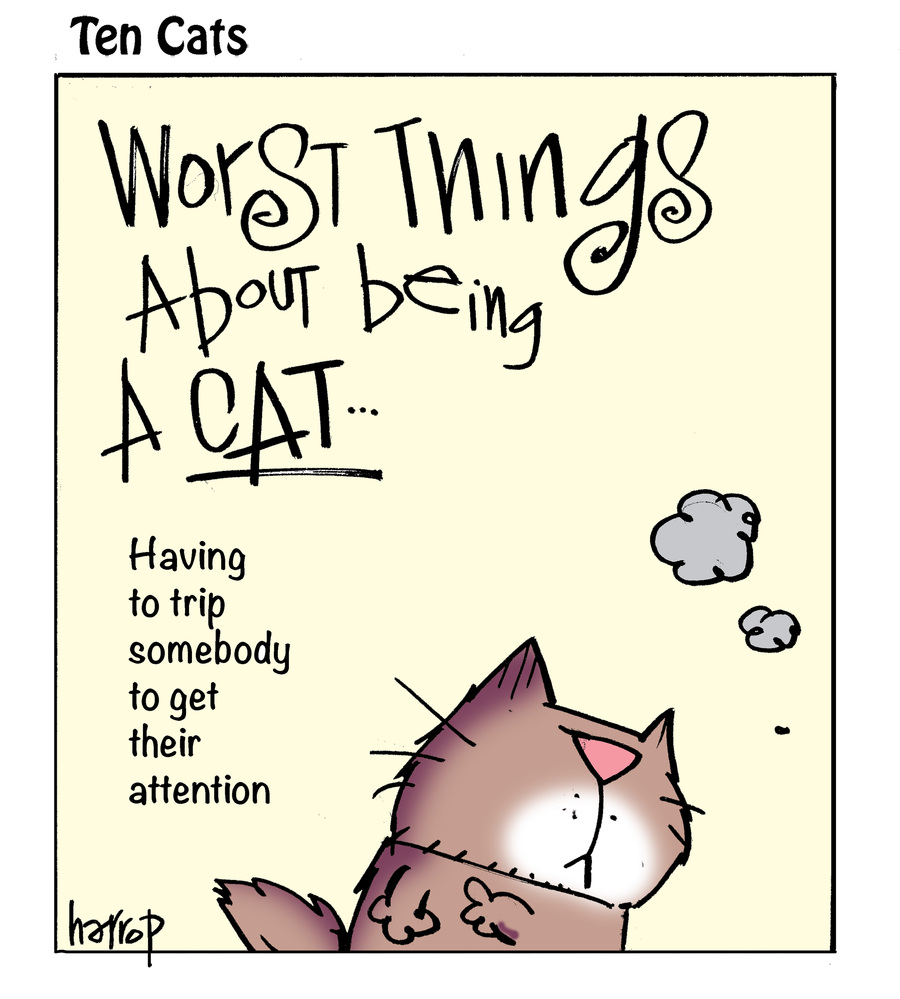 Ten Cats by Graham Harrop for February 22, 2025 - GoComics