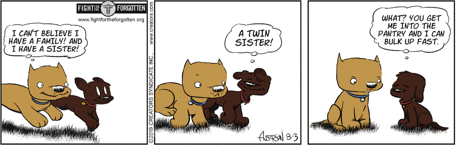 Dog Eat Doug by Brian Anderson for August 3, 2024 | GoComics