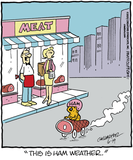 Heathcliff by Peter Gallagher & George Gately for June 19, 2024 | GoComics