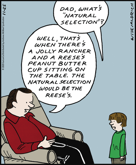 Real Life Adventures by Gary Wise and Lance Aldrich for November 25 ...