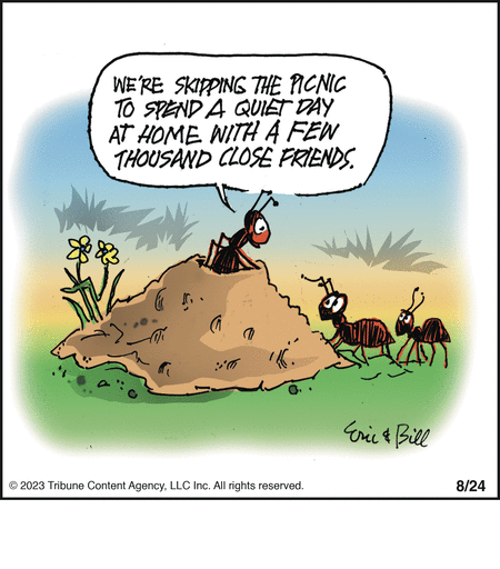 Bottomliners by Eric and Bill Teitelbaum for August 24, 2023 | GoComics