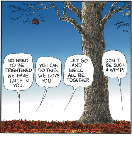 Bliss by Harry Bliss for November 07, 2024 - GoComics