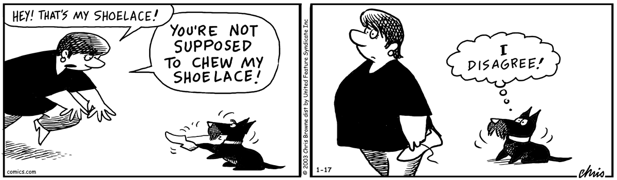 Raising Duncan by Chris Browne for January 02, 2019 - GoComics