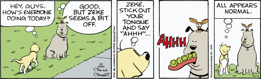 Read Red and Rover by Brian Basset on GoComics