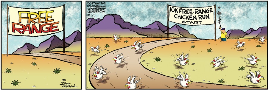Free Range by Bill Whitehead for October 25, 2020 - GoComics