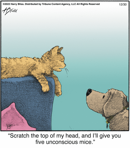 Bliss by Harry Bliss for December 30, 2022 | GoComics