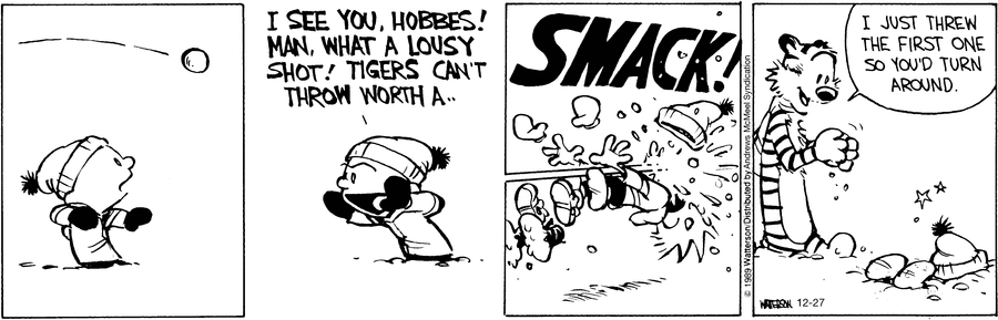 Calvin and Hobbes by Bill Watterson for December 27, 2019 | GoComics