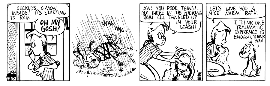 Buckles by David Gilbert for September 10, 2022 | GoComics