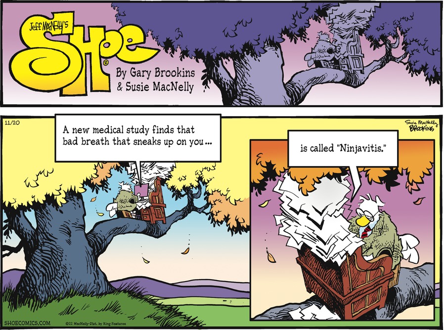 Shoe by Gary Brookins & Susie MacNelly for November 20, 2022 | GoComics