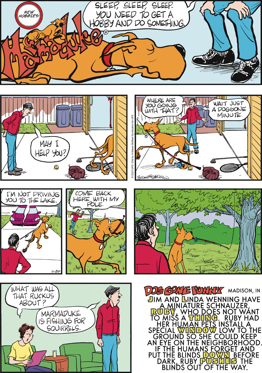 Marmaduke by Brad Anderson for November 20, 2022 | GoComics
