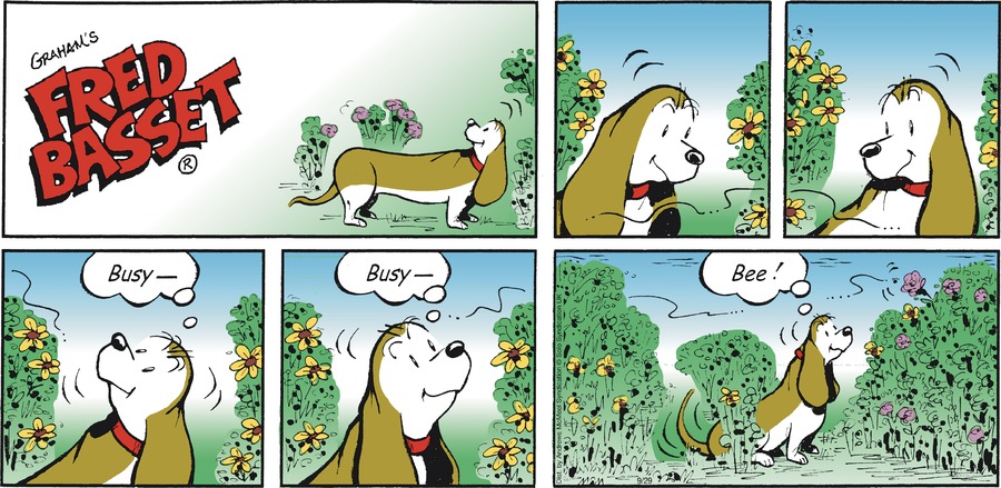 GoComics