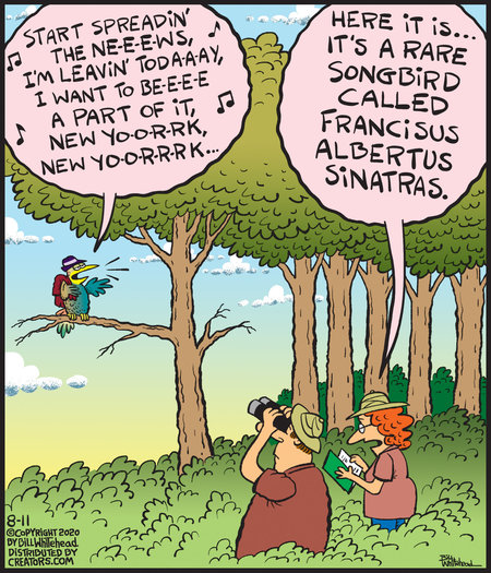 Free Range by Bill Whitehead for August 11, 2020 | GoComics