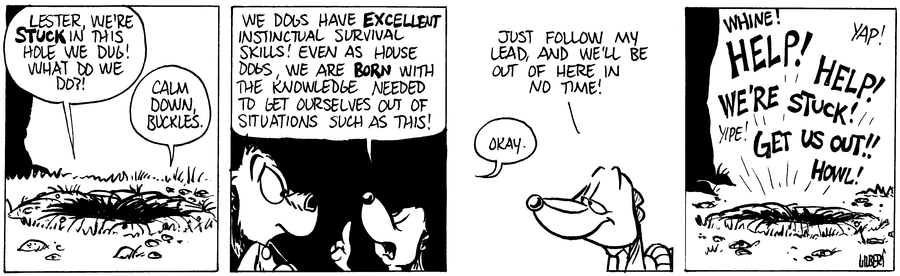 Buckles by David Gilbert for June 14, 2024 | GoComics